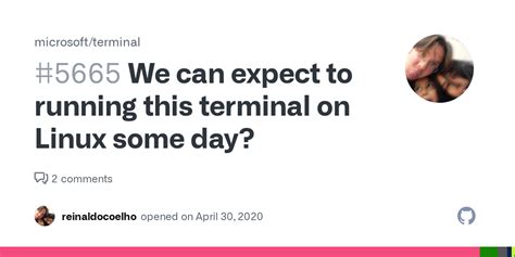 We Can Expect To Running This Terminal On Linux Some Day · Issue 5665 · Microsoftterminal