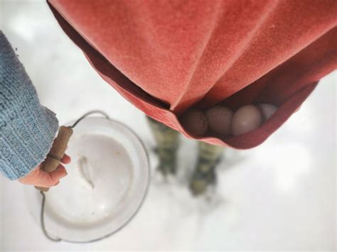 Poultry Feed Formulation How To Diy Feed Oso Ridge Ranch