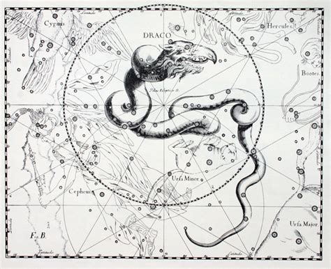 How To Find The Little Dipper Your Guide To Locate The Famous Asterism Lets Talk Stars