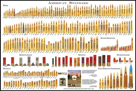 Deer Rifle Recoil Chart Educational Chart Resources