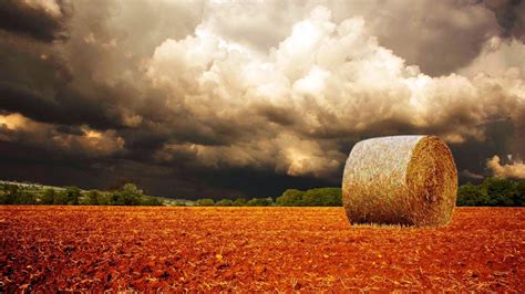 Fall Harvest Wallpaper 54 Images