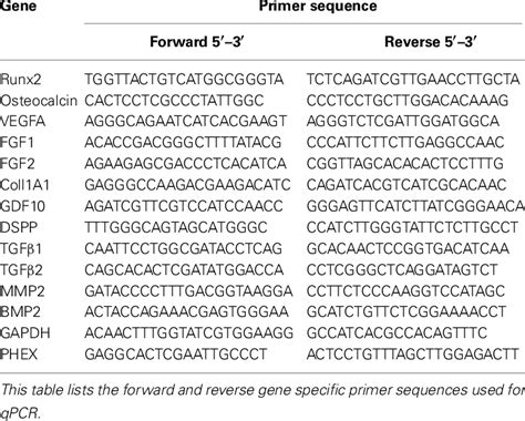Gene Specific Primers Download Table