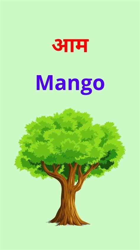 पड क नम Trees Names in Hindi and English Hindi Me Jankariya