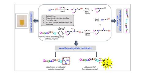 Sequence Defined Tertiary Amine Based Oligomer Employing A Scalable Debashis Barik 18 Comments