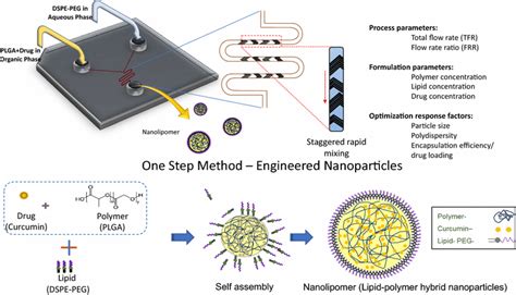 Optimization And Scale Up Of Microfluidic Nanolipomer Production Method For Preclinical And