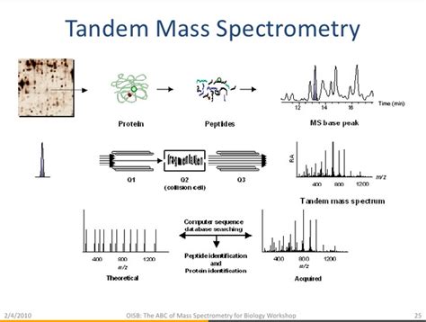 Linux Mint Community