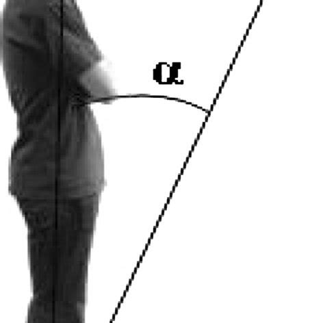 Angular Displacement Of A Person Download Scientific Diagram