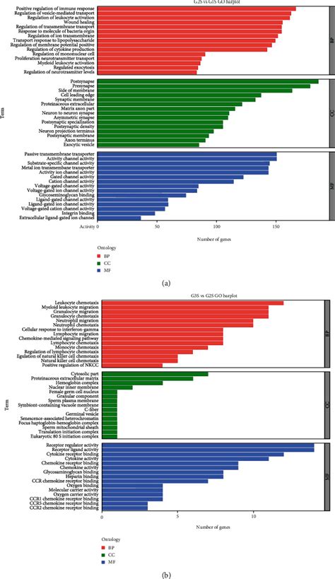 Microarray And Bioinformatics Analysis Of Differential Gene And Lncrna Expression During