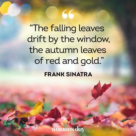 Autumn Selfie Quotes 100 Fall Instagram Captions For Guaranteed