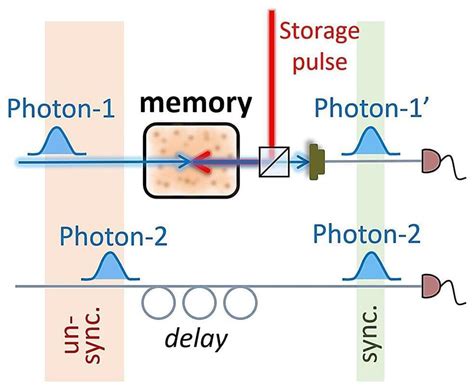 research team synchronizes single photons using an atomic quantum