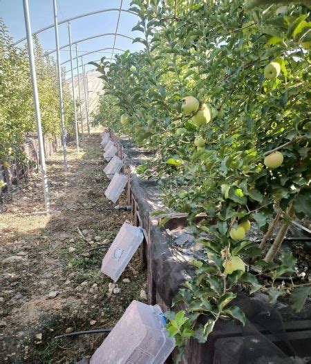 מכון סטודנטית אתה רוצה ללמוד לנתח ביגדאטה לבצע עבודת מעבדה עם סנסורים ולתכנת הצטרפי