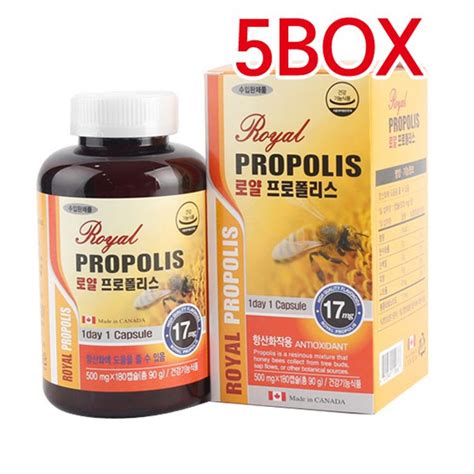 캐나다직수입 로얄 프로폴리스 500mg180캡슐 5box영양제무료배송 홈플러스 택배배송