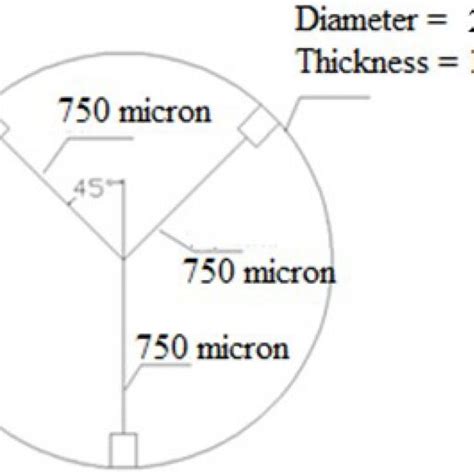 Schematic Diagram Of The Y Microfluidic Junction Drilled In A Pp Disk