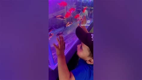 Adi Love Fish Youtube