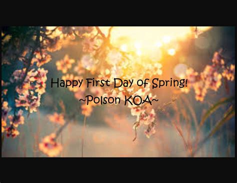 Polson Flathead Lake Koa Holiday Home Facebook