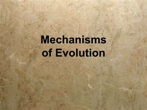 Mechanisms Of Evolution Ppt