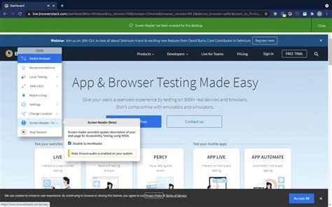 10 Most Common Web Accessibility Issues To Solve For Browserstack