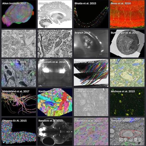 Neuroscience 神经科学相关数据集 知乎