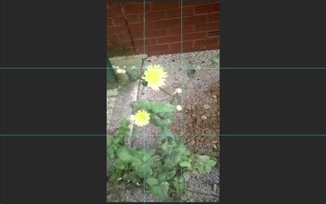 Rule Of Thirds Grids PHOTOGRAPHY
