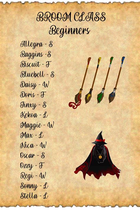 Solitaire R Solitairer4 On Twitter Rt Olivefig2 Goose Honk Broom