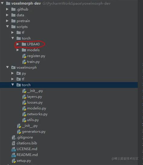 使用pytoch训练synthmorph持续创作，加速成长！这是我参与「掘金日新计划 · 10 月更文挑战」的第11天， 掘金