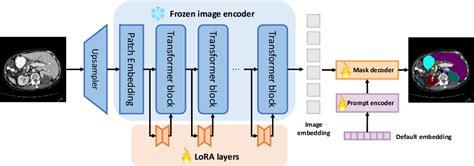 Customized Segment Anything Model for Medical Image Segmentation: Paper and Code - CatalyzeX