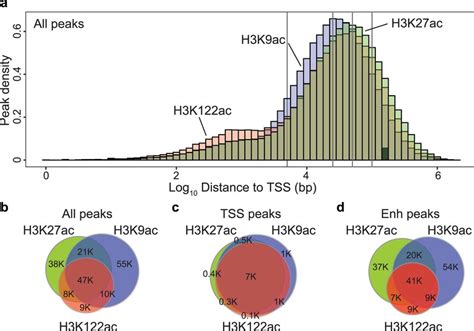 H3k27ac H3k9ac And H3k122ac Peak Distribution In Younger Old And