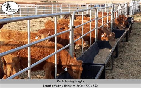 Cattle Feeding Troughs At Liam Tindal Blog
