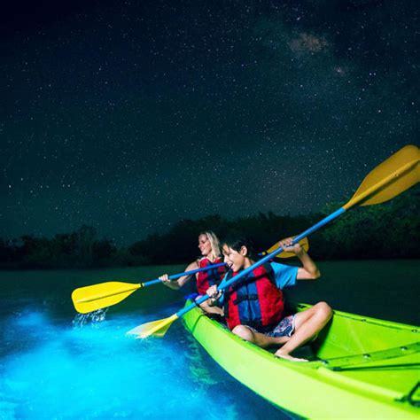 Bioluminescent Bays Of St Croix