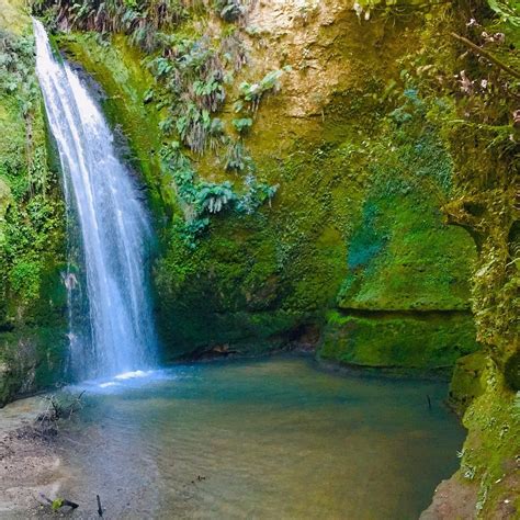 Te Ana And Tangoio Falls Tracks Napier All You Need To Know