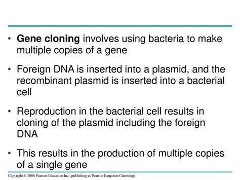 Chapter 20 Biotechnology Ppt Download