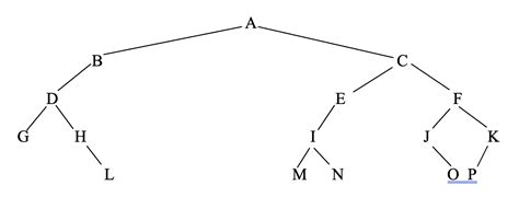 Solved Perform A Preorder Traversal Of The Tree Diagrammed
