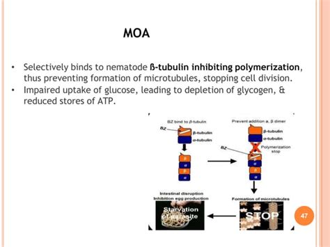 Antiparasitic Drugspptx
