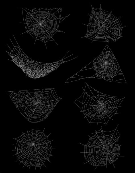 Realistic Spider Web Drawings