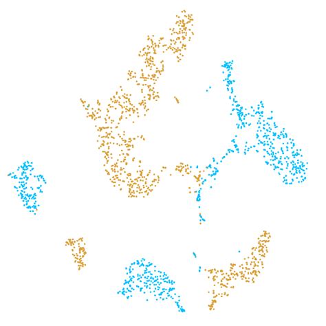 Cell Ranger S Gene Expression Algorithm X Genomics