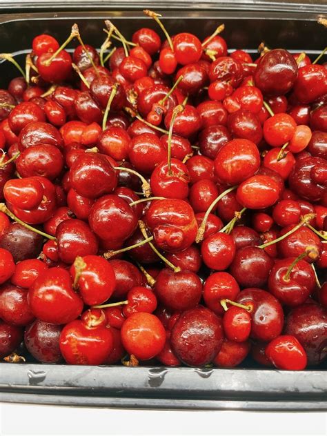 Gohan A Y C E Buffet Tracy Roadtrippers