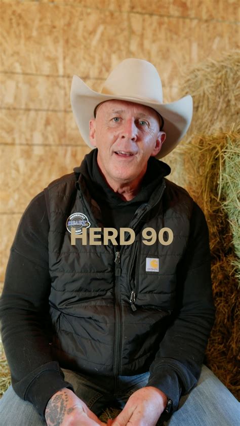 Theherd Online • Instagram Photos And Videos