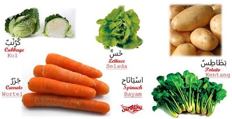 Jenis Sayur Dalam Bahasa Arab Faith Ince