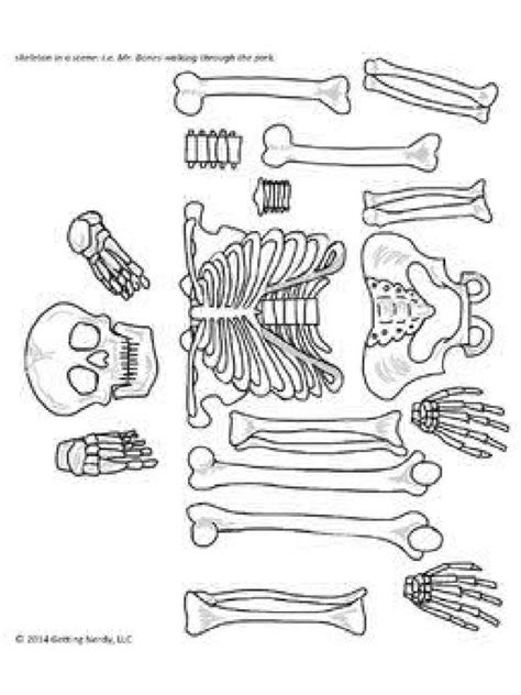 Cut Out Skeletal System Pdf