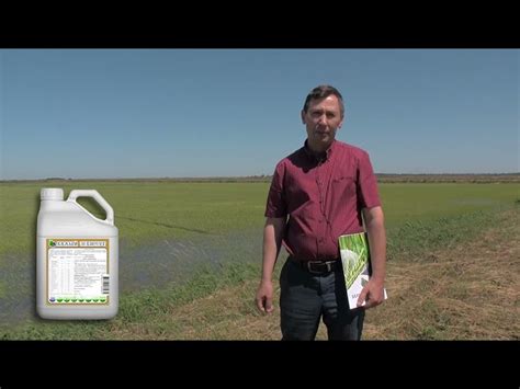 Купить удобрение Белый Жемчуг Коричневый | Официальный сайт ООО "Группа ...