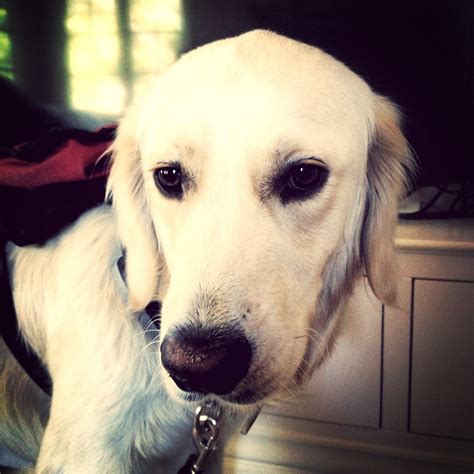 Duncan David Ciani Flickr