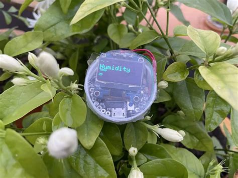 Interfacing OLED Display With Indusboard Indus Development Board