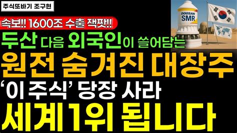 주식 돈도 잘 버는데 싸도 너무 싸요” 10년 슈퍼사이클 맞이한 두산 다음 원전 숨겨진 대장주 ‘이 기업 사세요 외국인도