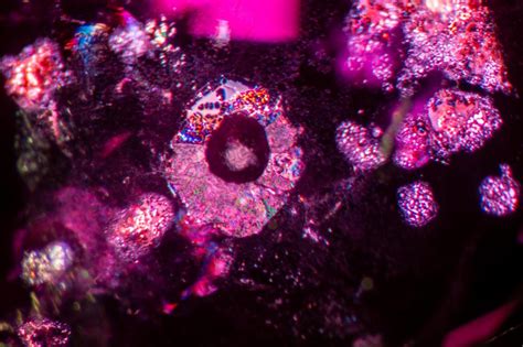 Treated Rubies Vs Untreated Rubies Nrc Education The Natural Ruby