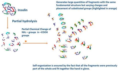 Phosphodiesterase Inhibition And Immunotropic Activity Of Dipyridamole… Dr Boris Farber