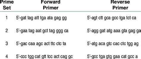 Amplification And Sequencing Oligo Primers For Mutation Analysis Of