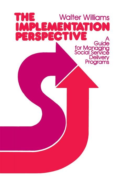 The Implementation Perspective By Walter Williams Paper