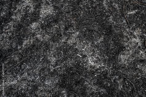 Texture Burnt Grass Black Background Of Scorched Earth After Spring