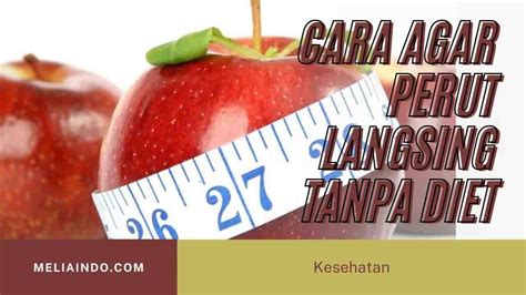 10 Cara Agar Perut Langsing Tanpa Diet Agen Propolis Melia Sehat Sejahtera
