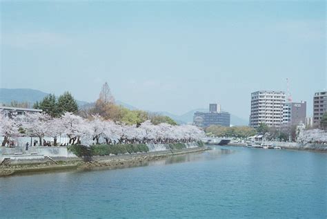 元安川の春 By 安芸の国から （id：4347172） 写真共有サイト Photohito
